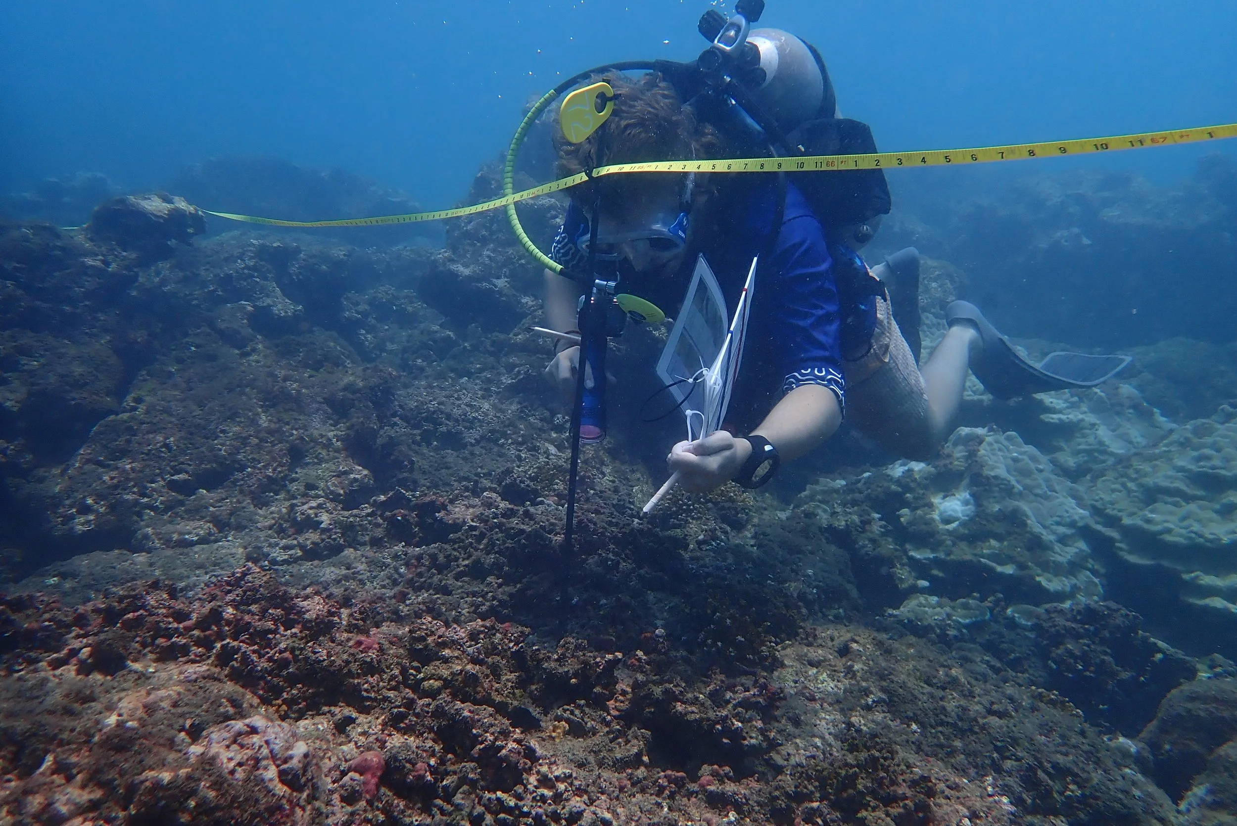 General 2 — Raising Coral Costa Rica