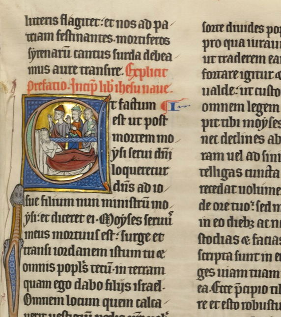 Gall, gum, vitriol and the making of medieval black ink — Folds in the ...