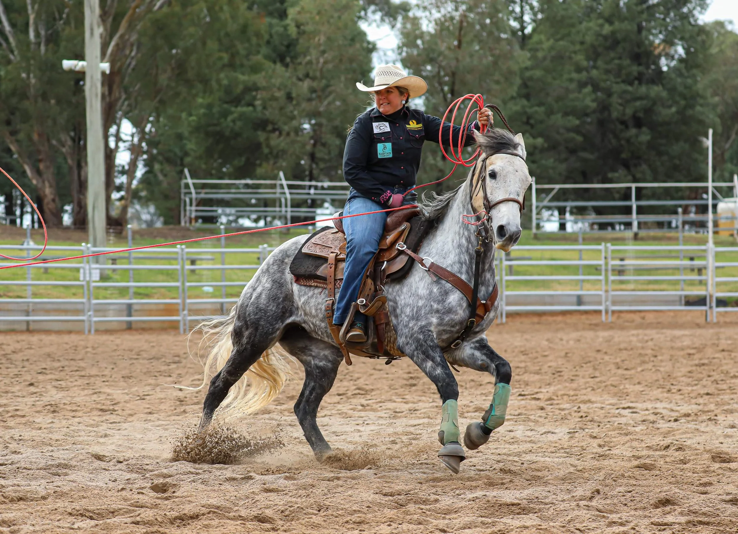 Narrandera | Explore and Experience — Visit Narrandera
