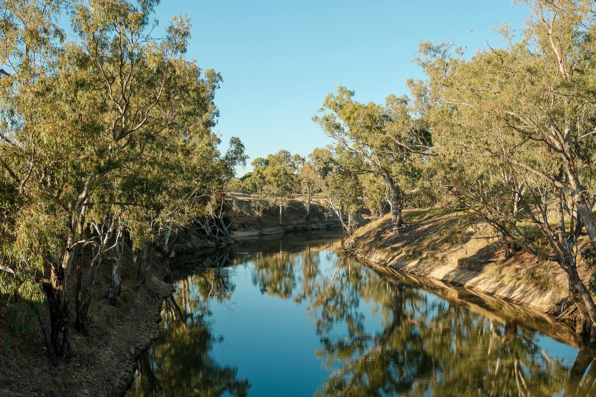 2026 Murray Crayfish Season Opens on the Murrumbidgee and Murray Rivers ...