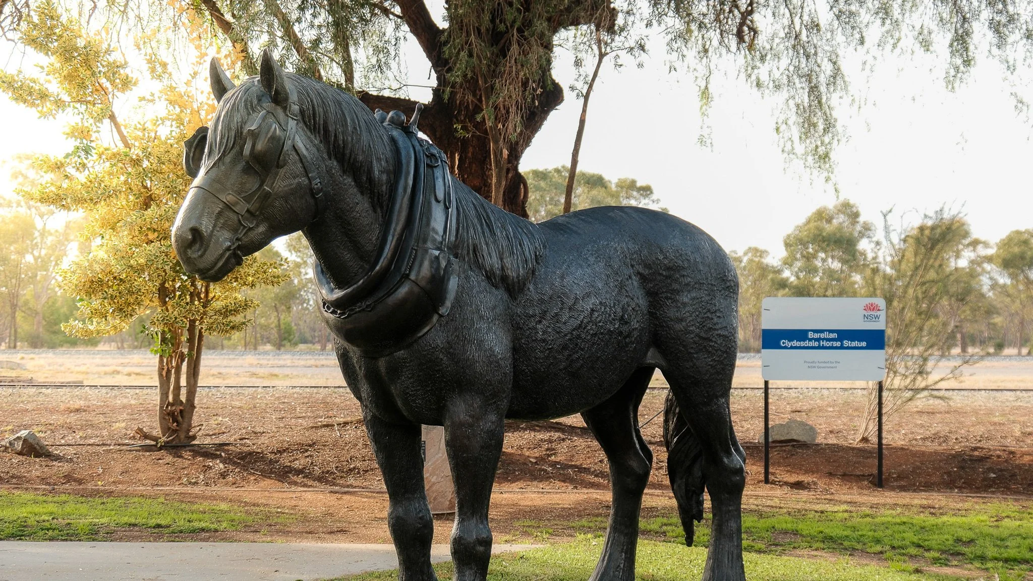 Barellan | Explore & Enjoy Barellan Today — Visit Narrandera