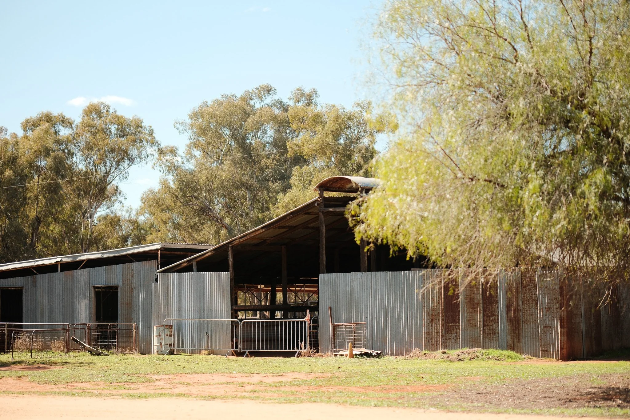 Barellan Showgrounds — Visit Narrandera