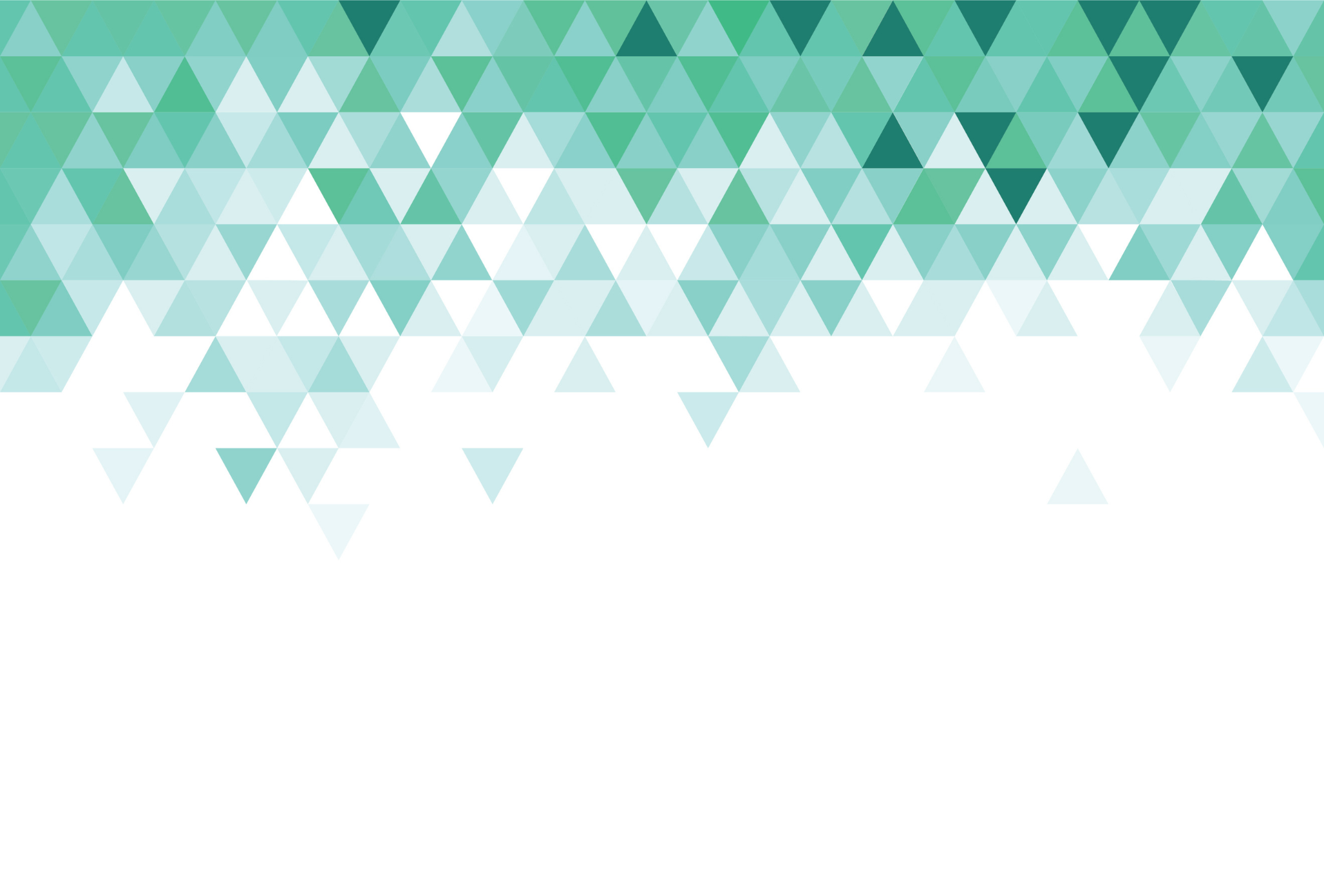 About Our Firm — EMERALD ASSET MANAGEMENT