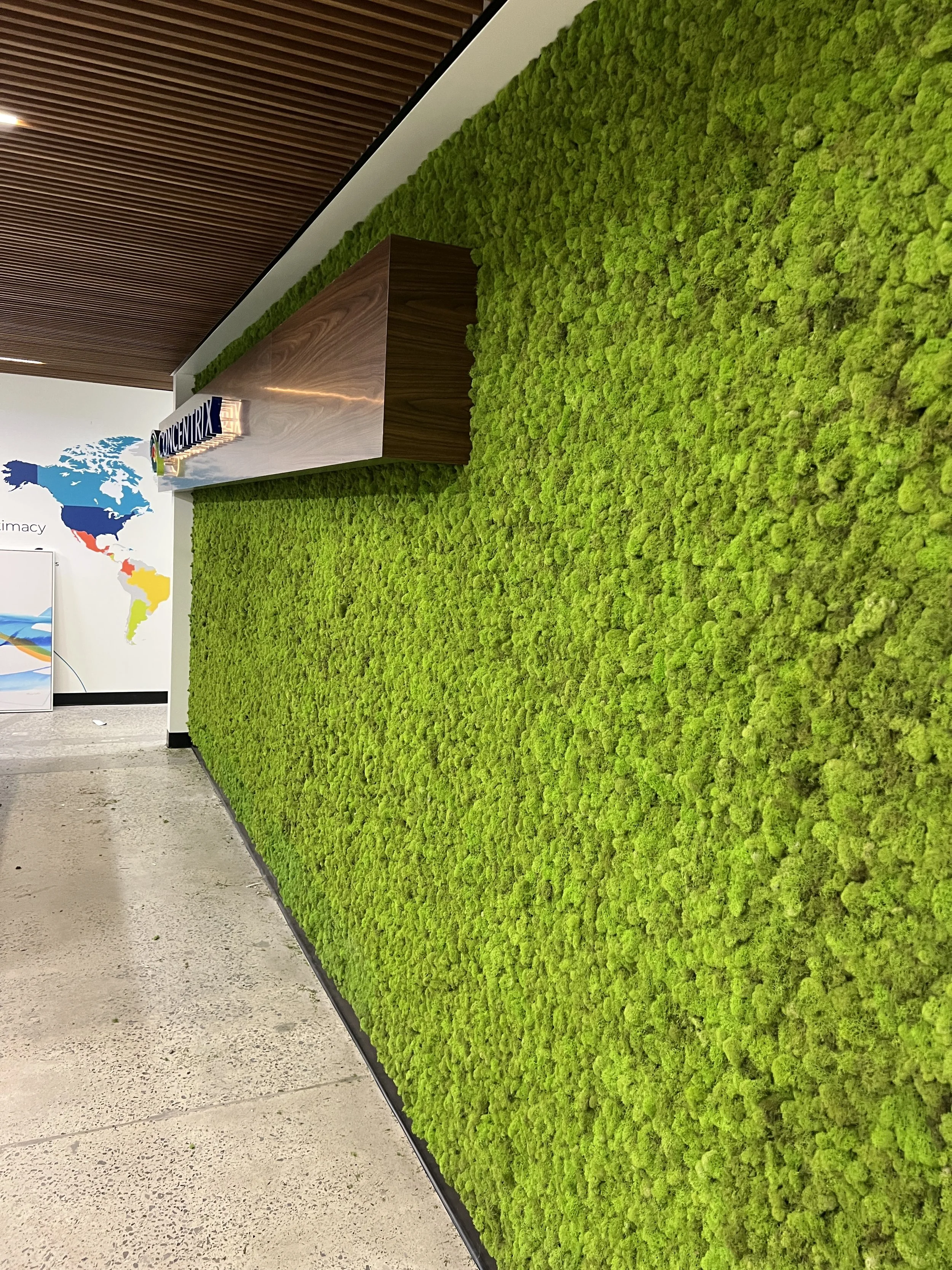 Moss Tiles | Transform Walls Naturally — Shop Now