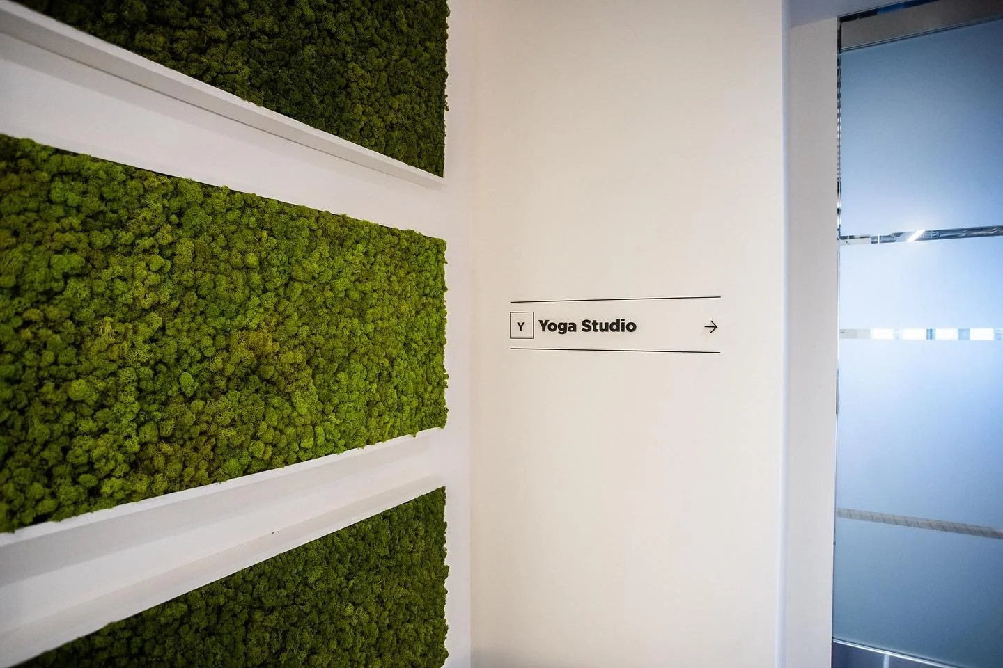 DIY Natural Moss Wall Tile- Interior Wall Features (Spring Green ...