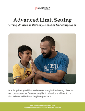 Limit Setting Guide: Using the ACT Method — Ensemble Learning Center