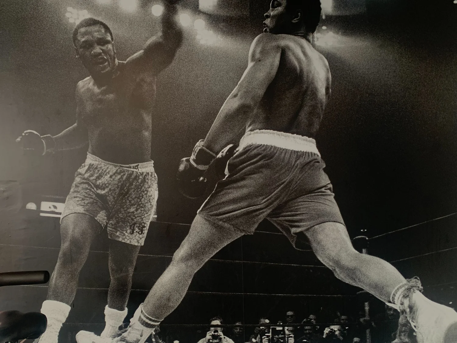 Boxfit Brothers | Boxing Based Circuit Designed for Every Body – Join ...