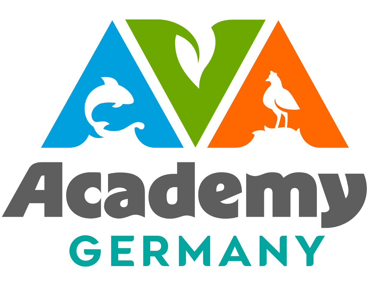AVA International