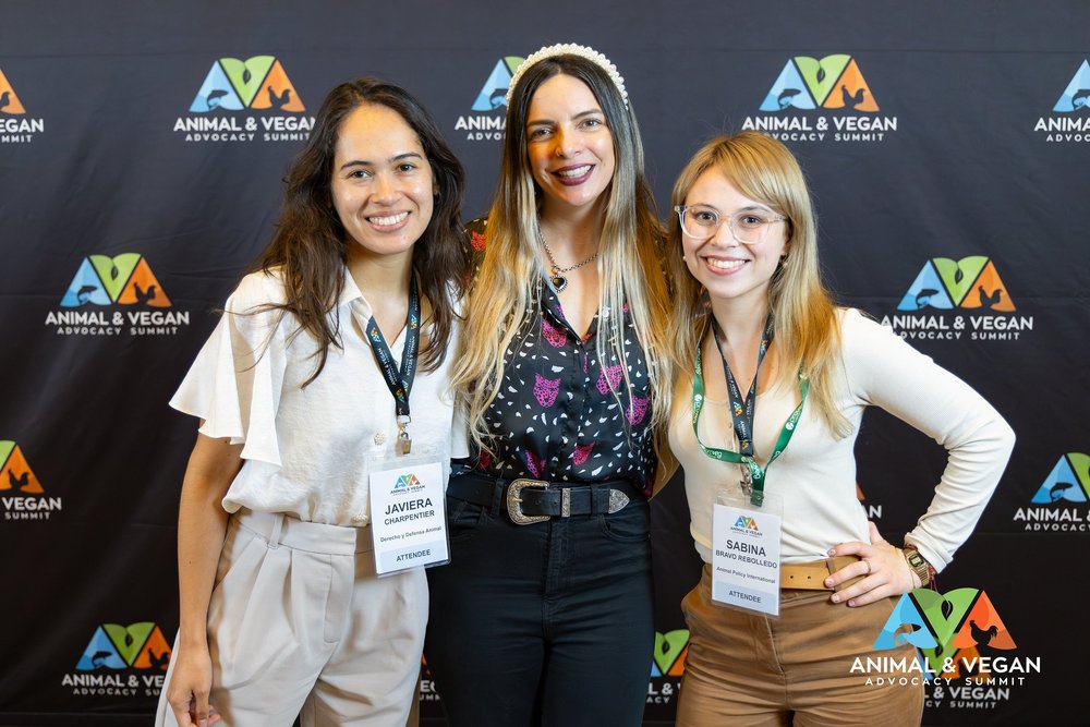 AVA Summit Canada — AVA International