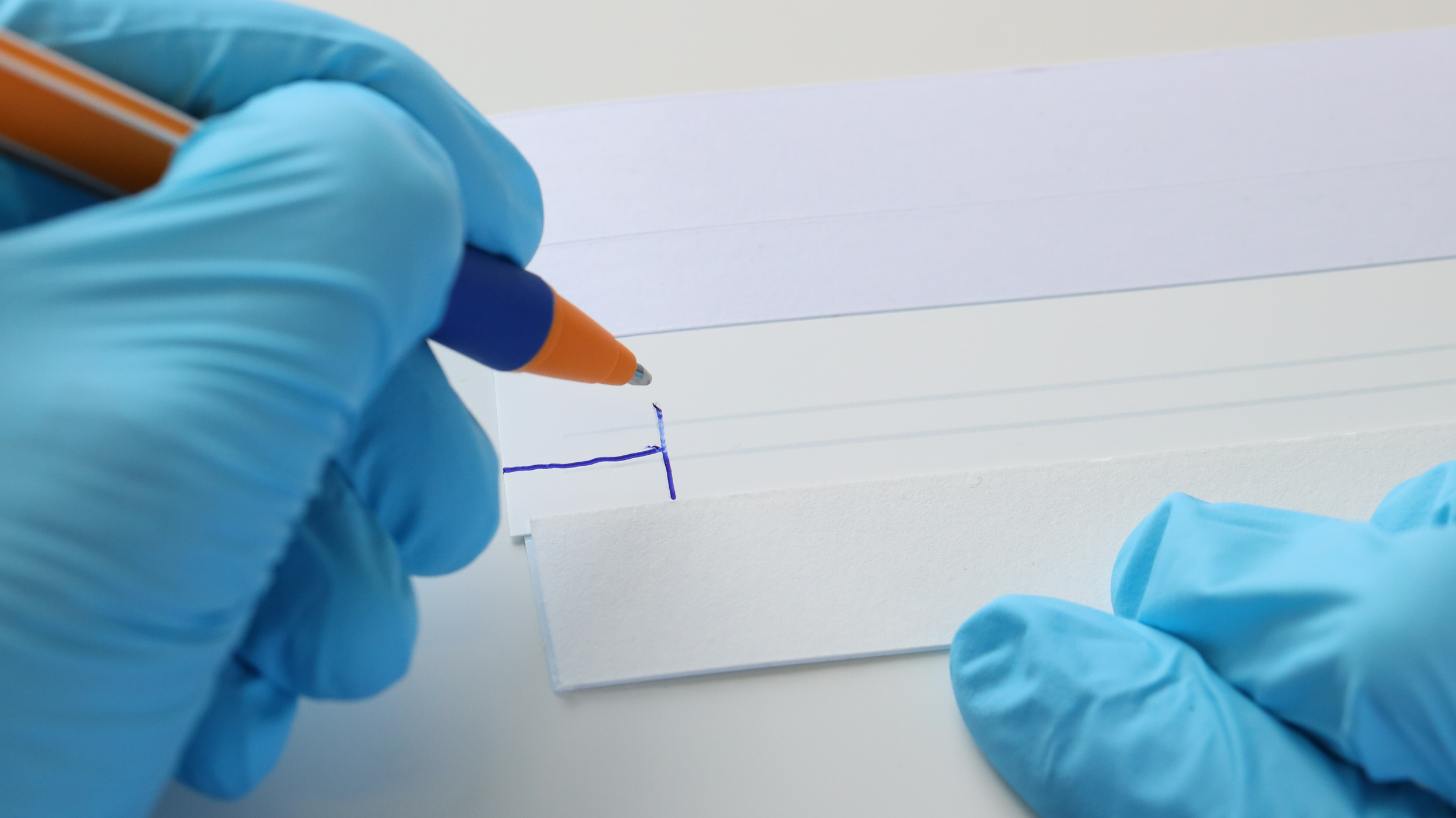 Lateral Flow Tests | Ensure Food Safety Now — AntoxenLab