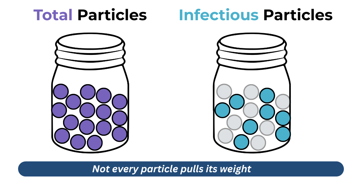 How to Measure Viral Vector Titer: Capsid, Genome & Infectious Assays ...