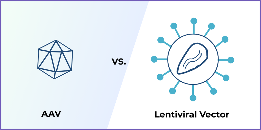 AAV vs. Lentiviral Vectors: Key Differences for Gene Therapy — Brenna ...