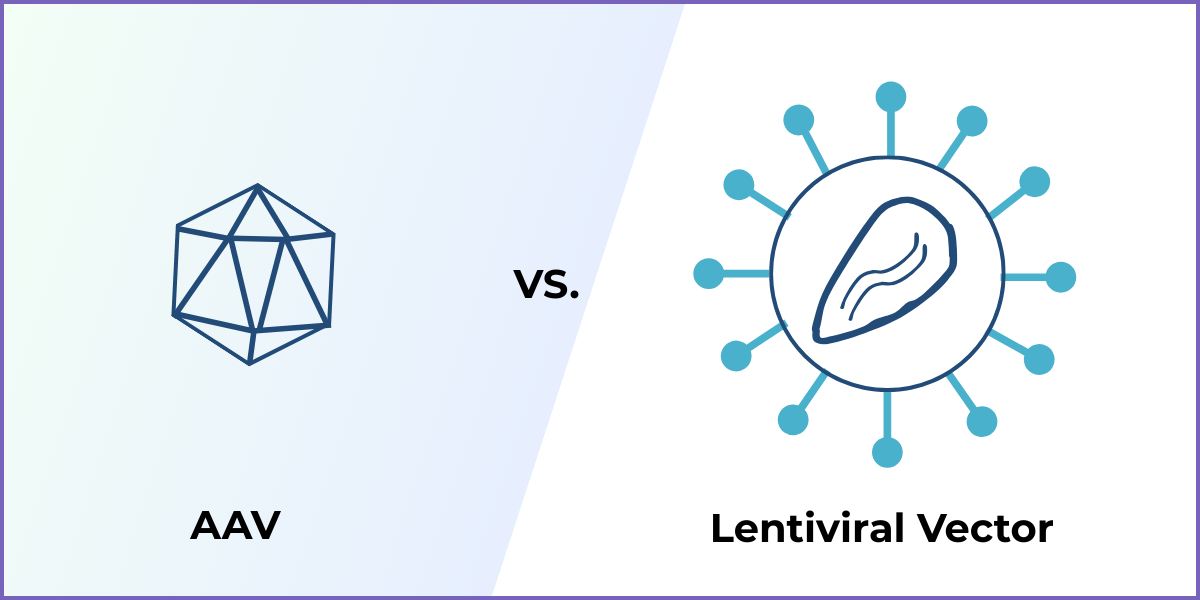 AAV vs. Lentiviral Vectors: Key Differences for Gene Therapy — Brenna ...