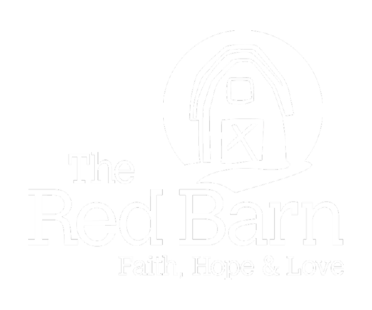 Discover Healing with Horses - Join Us Today