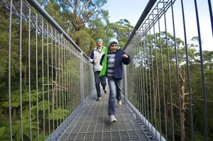 Student Treetop Walk | Discover & Learn—Book Your Tour — Illawarra Fly ...