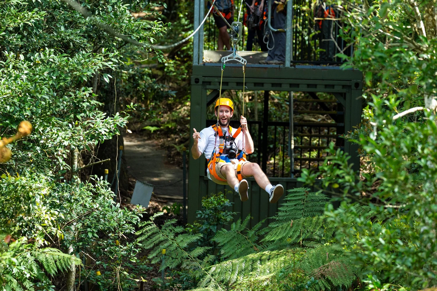 Illawarra Fly TreeTop Adventures | Discover and Book Your Adventure
