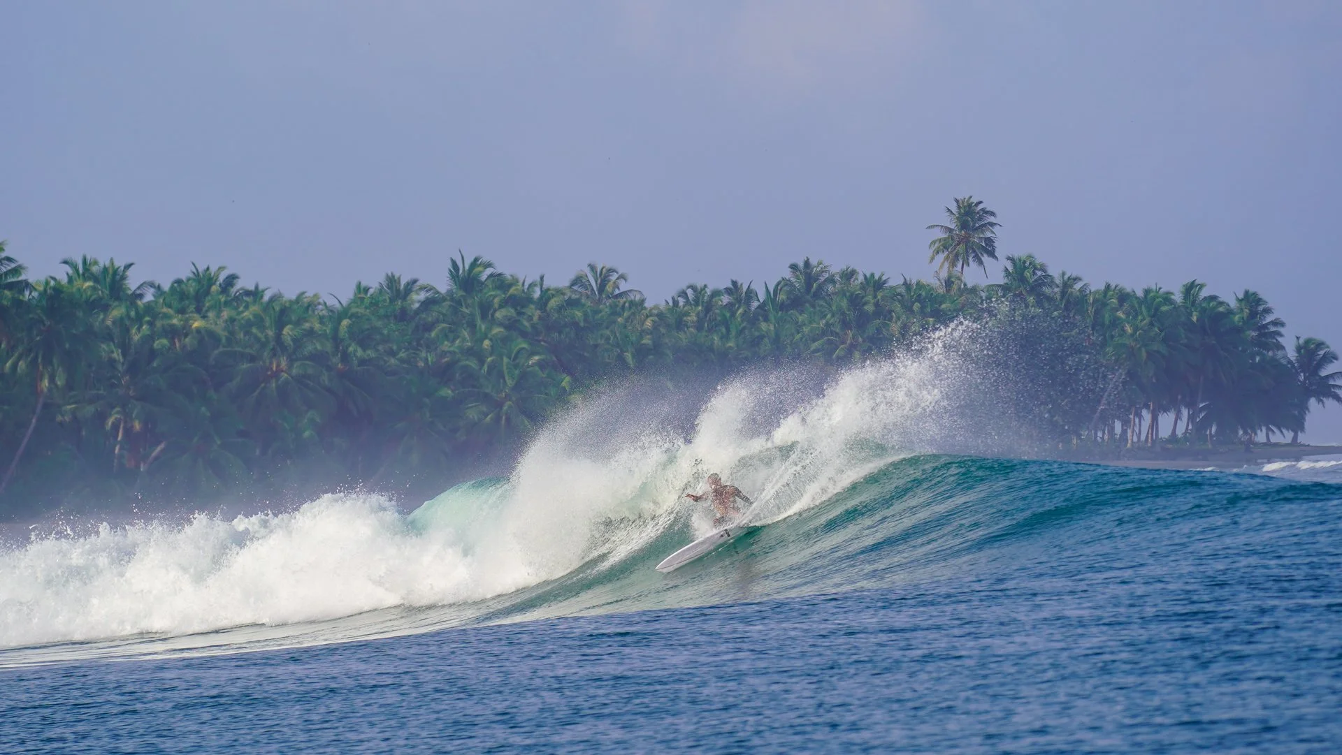 Hunt Waves in Style & Comfort — Pelagic Surf Charters