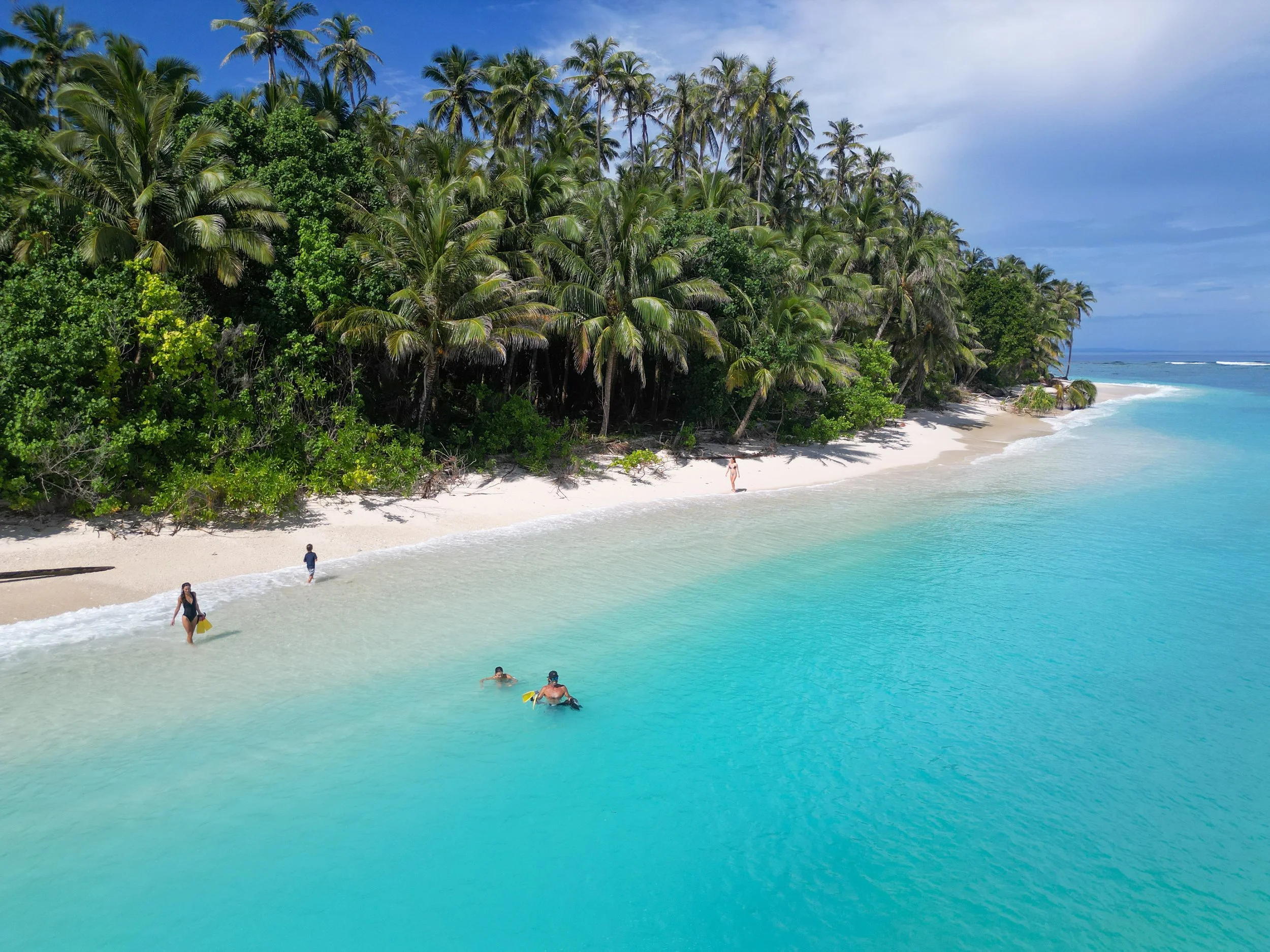 Hunt Waves in Style & Comfort — Pelagic Surf Charters