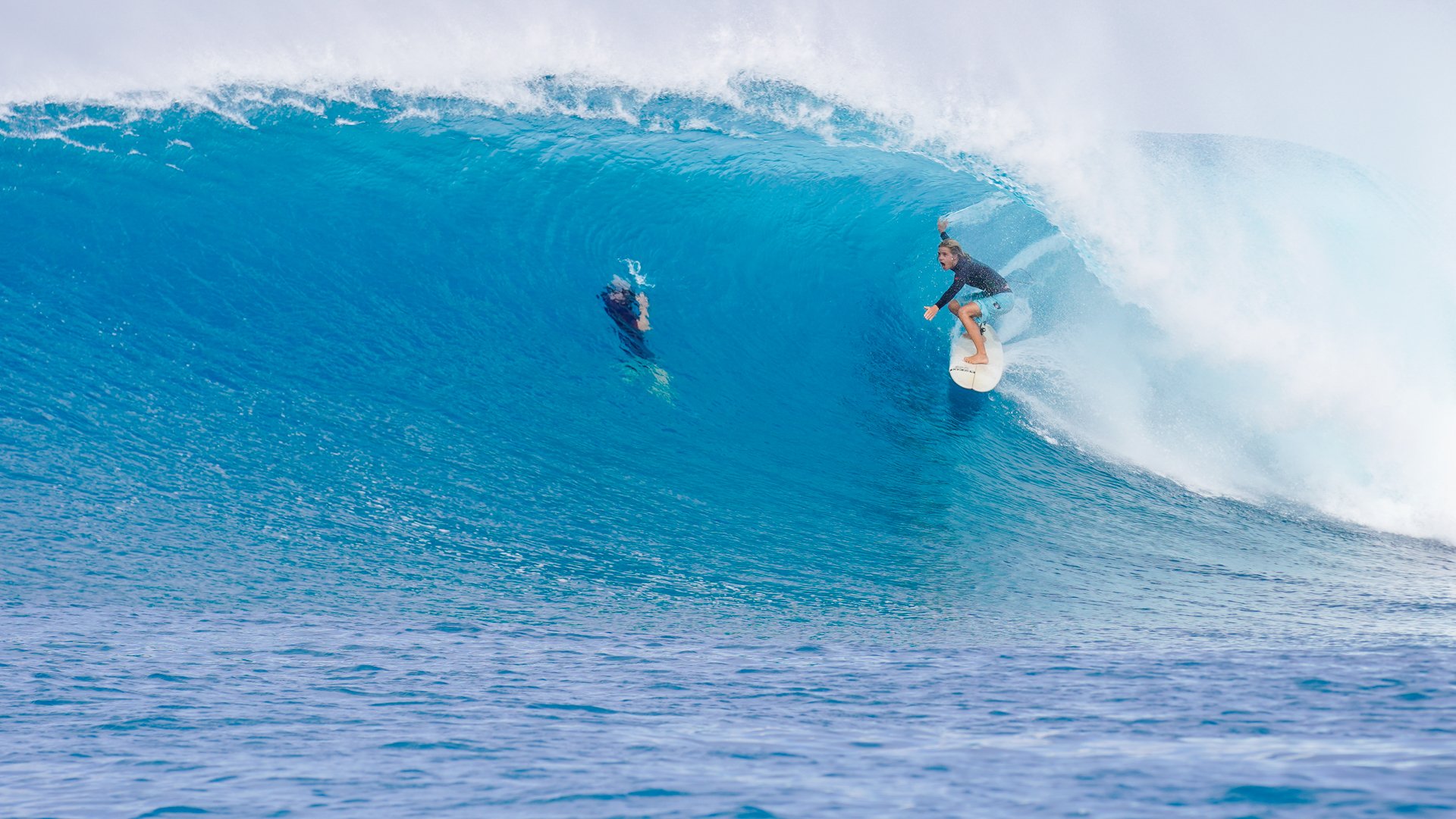 Hunt Waves in Style & Comfort — Pelagic Surf Charters