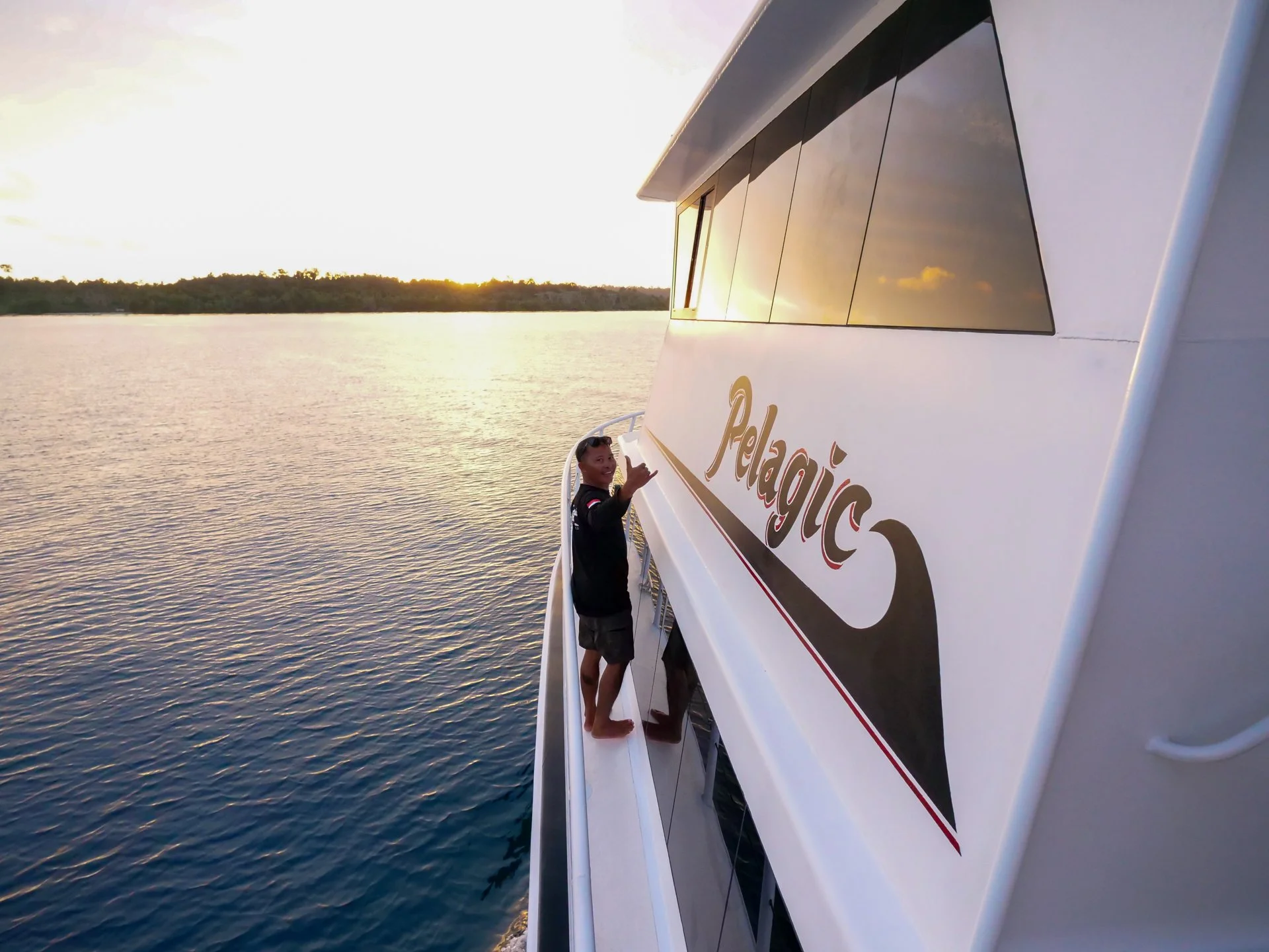 Hunt Waves in Style & Comfort — Pelagic Surf Charters