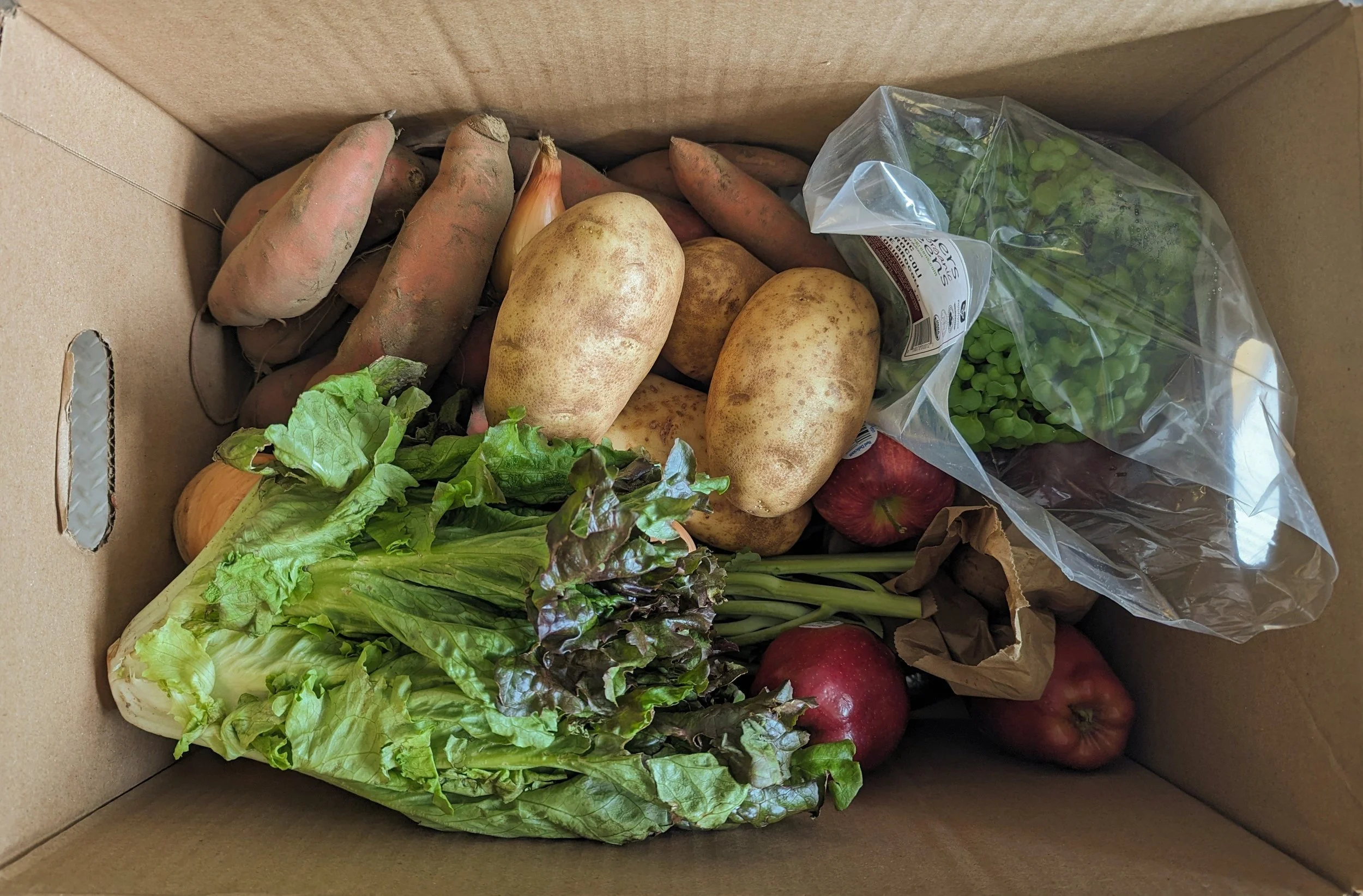 Food Resources in London, Ontario — LIFE*SPIN