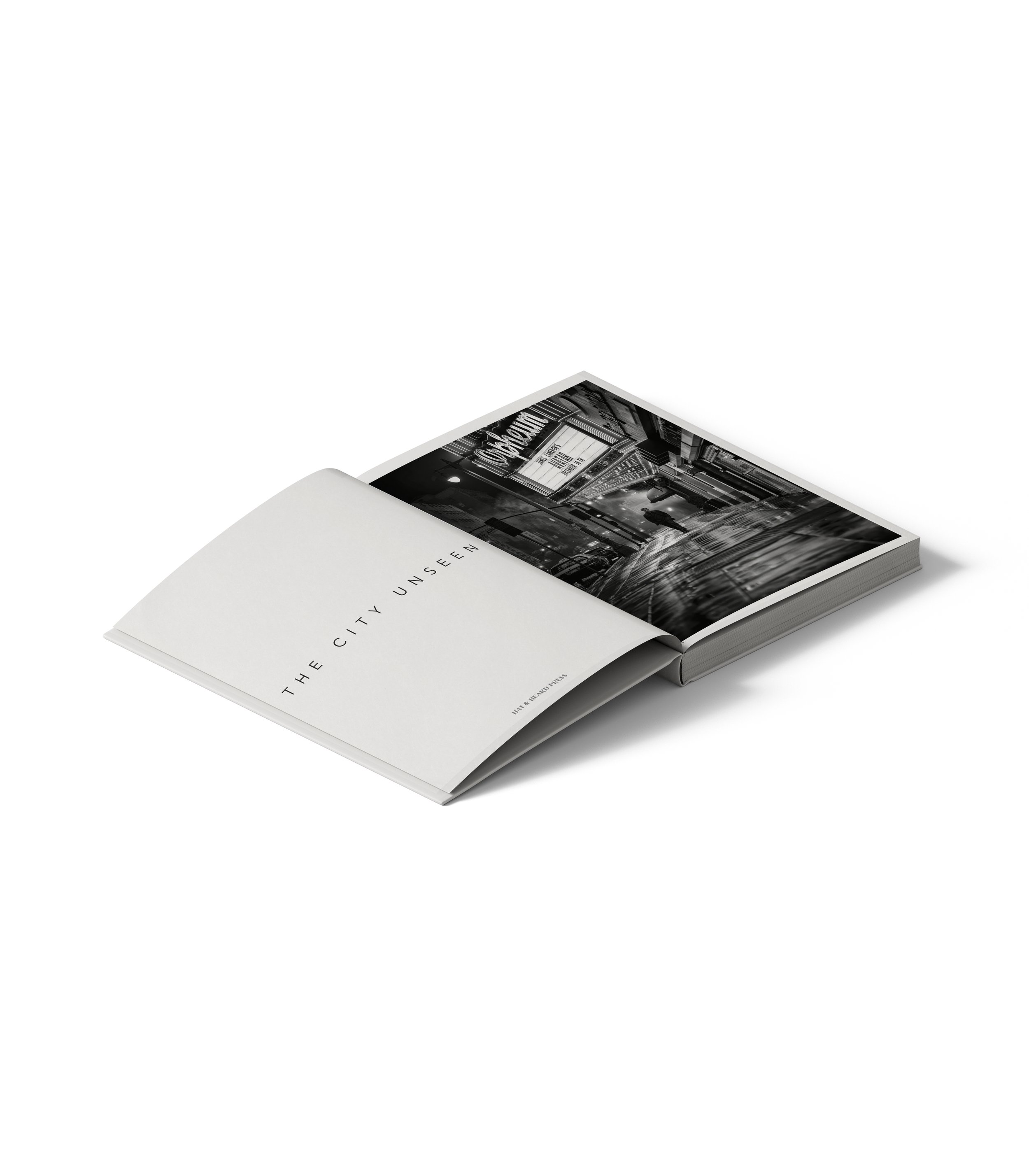 The City Unseen — DANIEL SACKHEIM