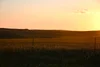 Visit Baker Montana | Explore & Plan Your Trip