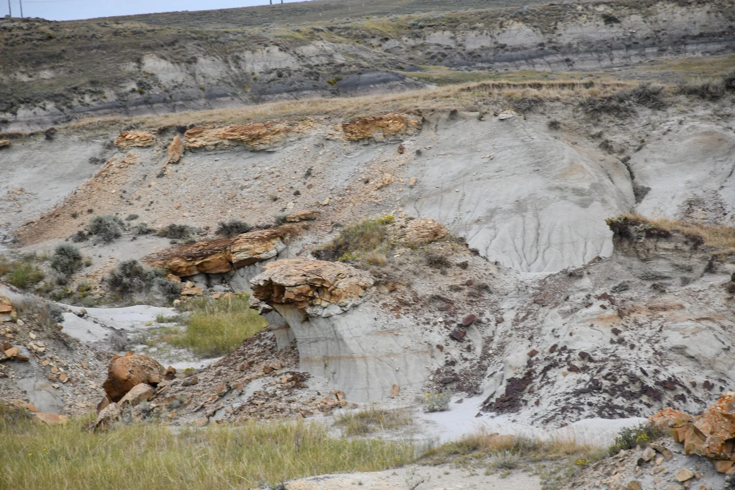 Visit Baker Montana | Explore & Plan Your Trip