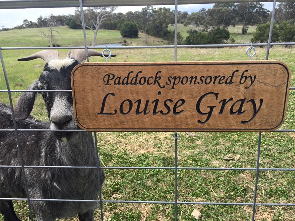 General 2 — Hourigan Designs