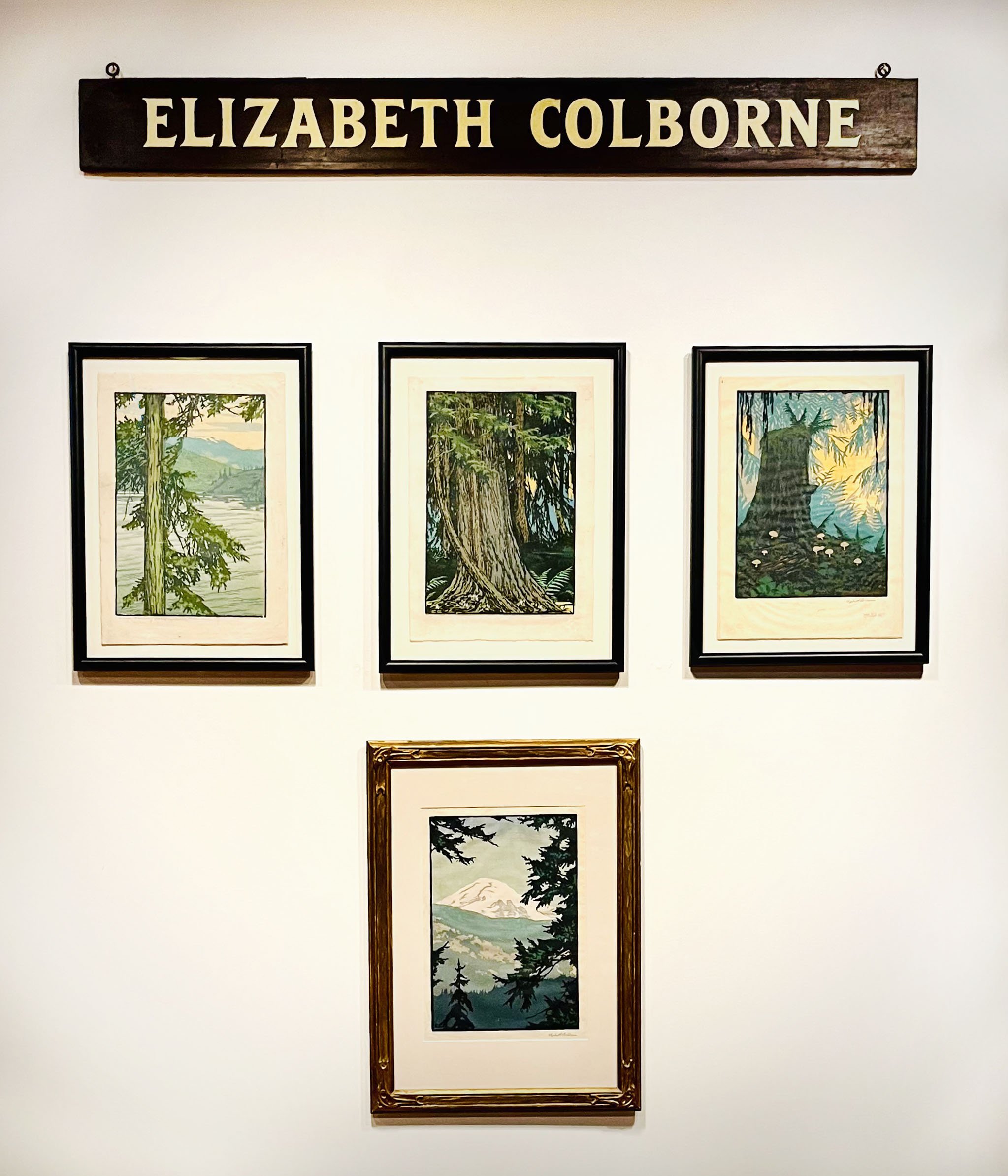 Elizabeth Colborne — MUSEO - Art & Archive