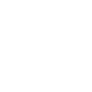 Cécile Vignial — SEGALEN+ASSOCIES