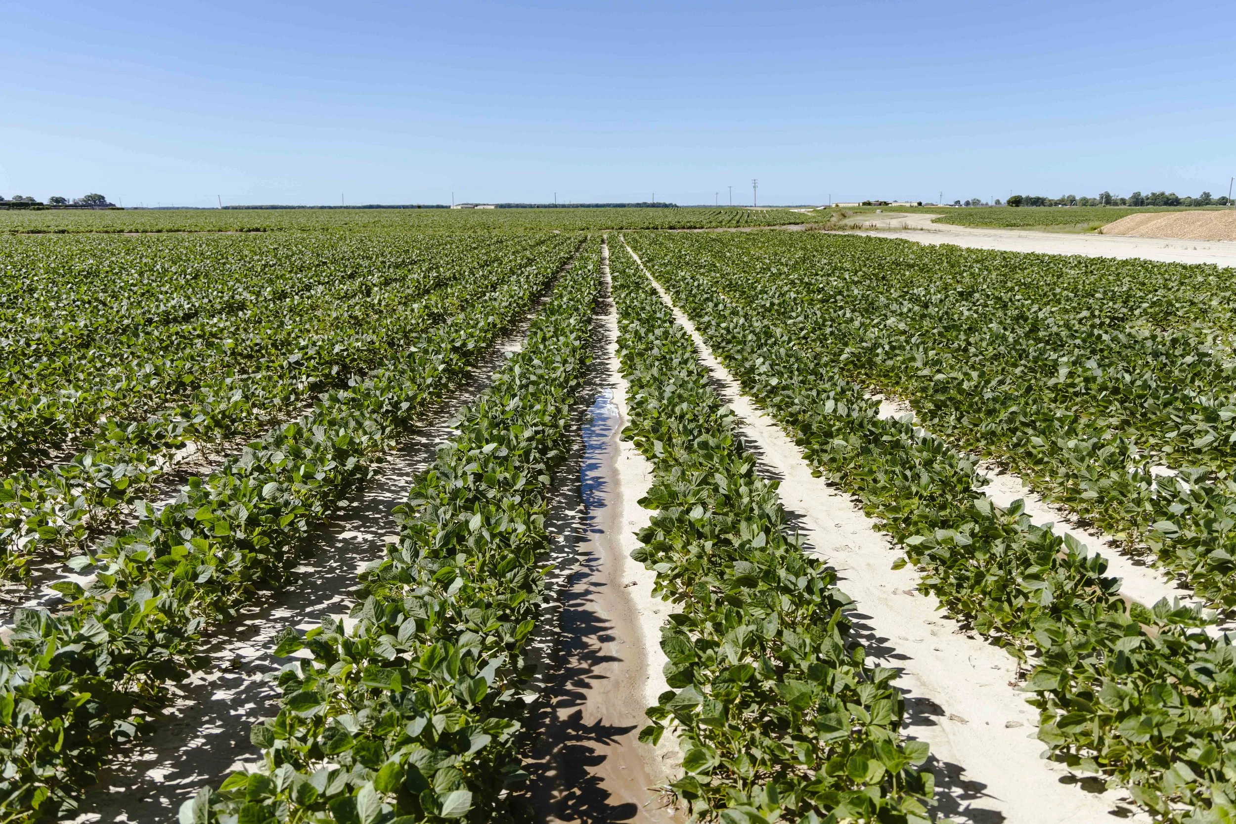 Parchman Farms | Empower Through Agriculture — Join Now