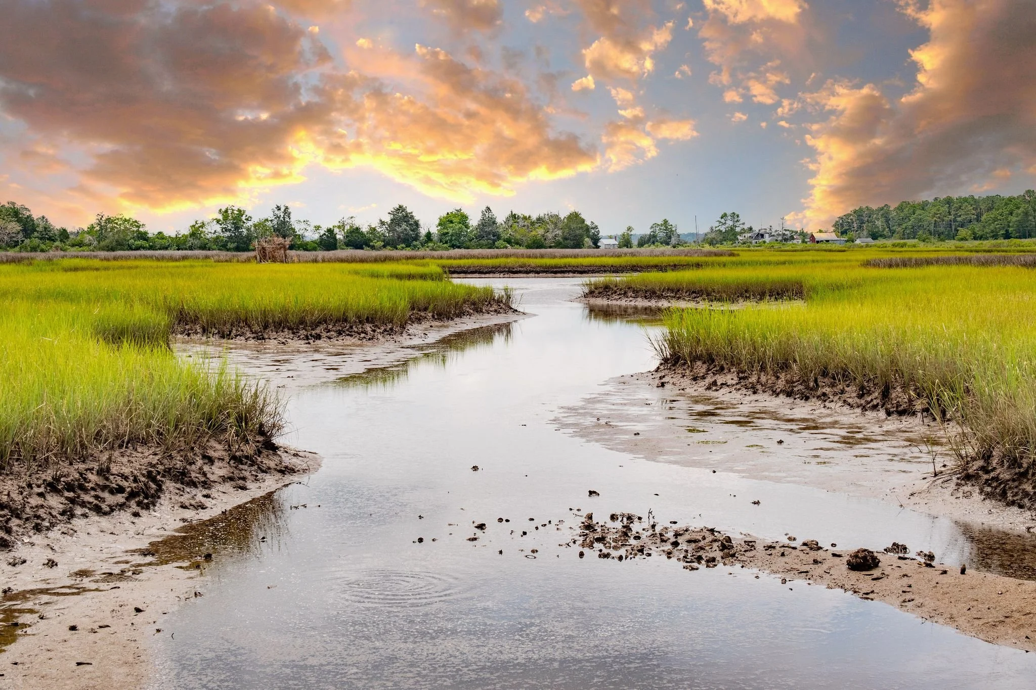 Visit Gloucester, Virginia