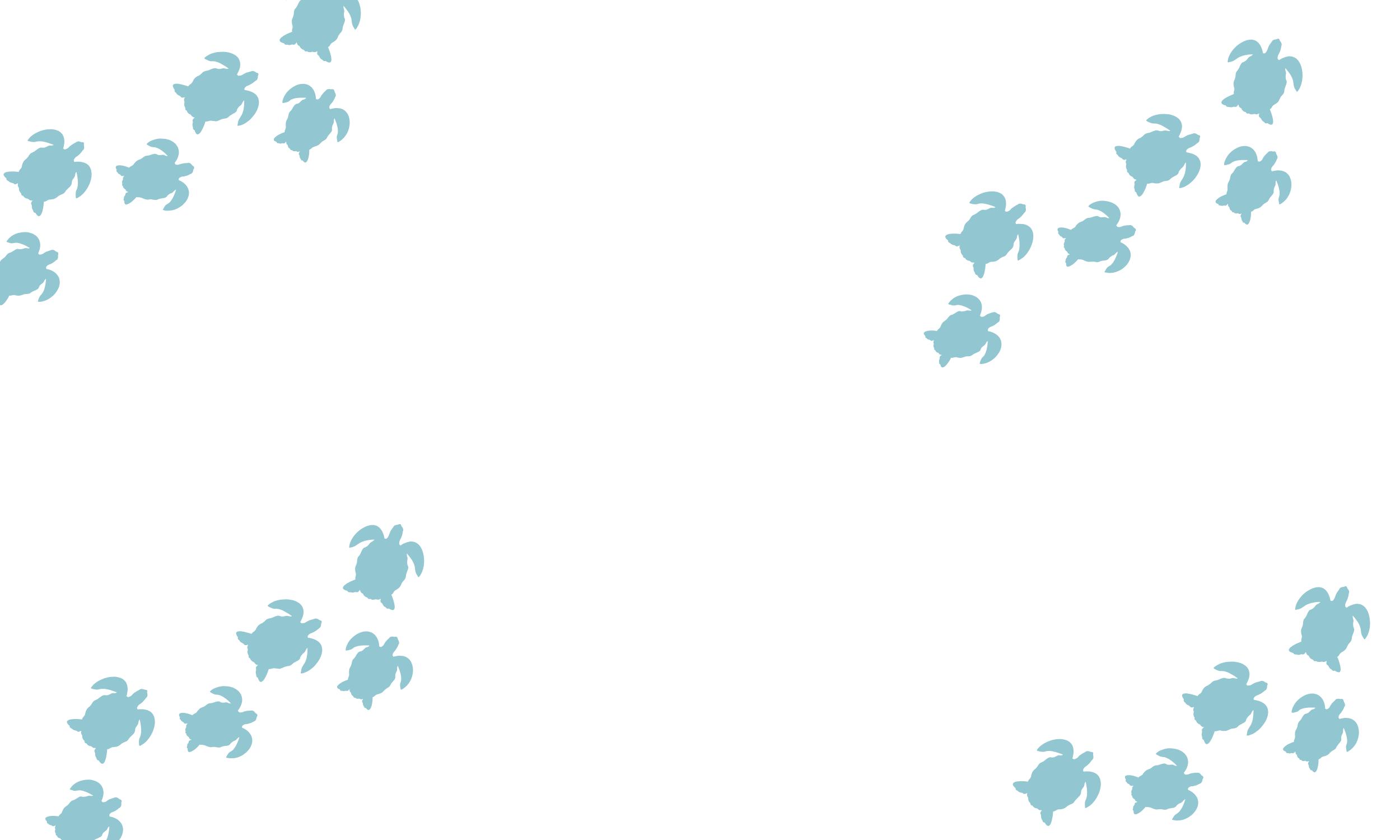 Turtle Talk Speech Therapy | Speech & Feeding Therapy for Kids in ...