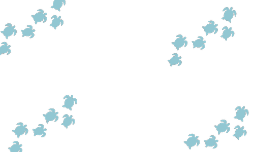 Turtle Talk Speech Therapy | Speech & Feeding Therapy for Kids in ...