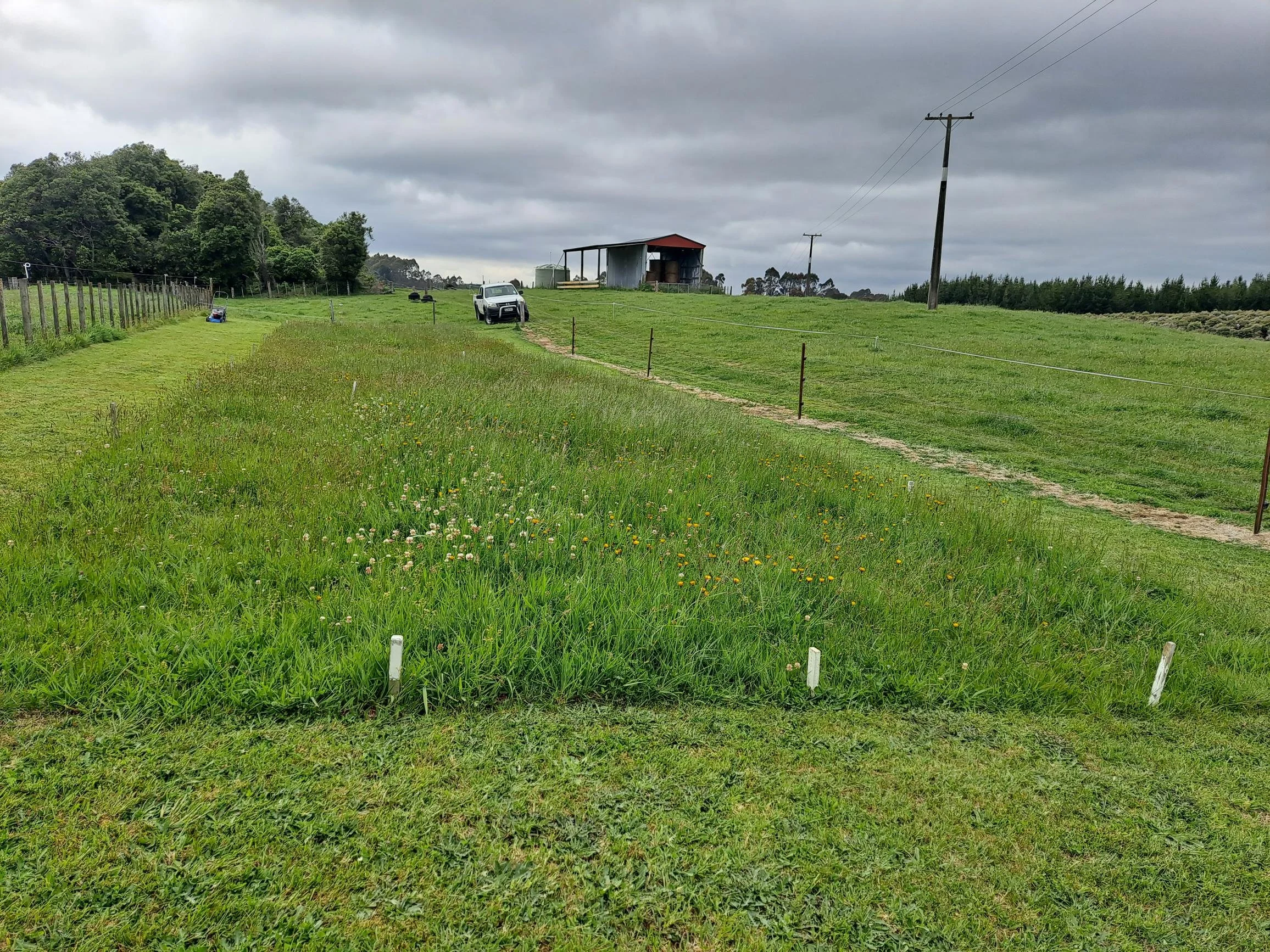 FIELD TRIAL 2025 — Uptake