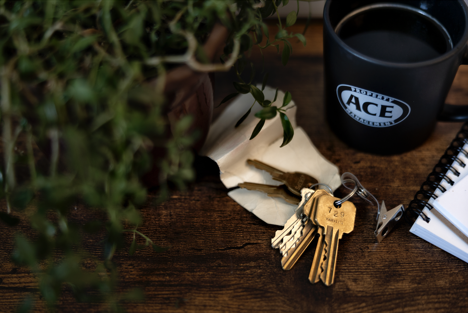 ACE Property Management | Discover Reliable Property Management — Get ...