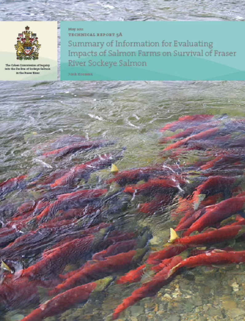600,000 farmed salmon die of disease in BC annually — with what effect ...