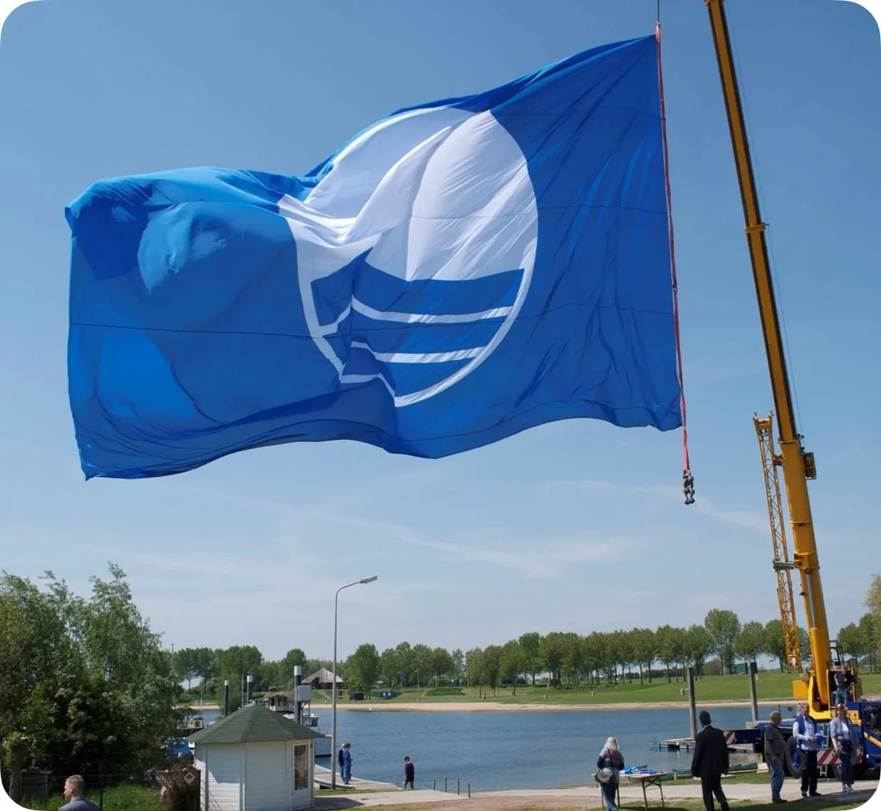 Blue Flag — Swim Drink Fish