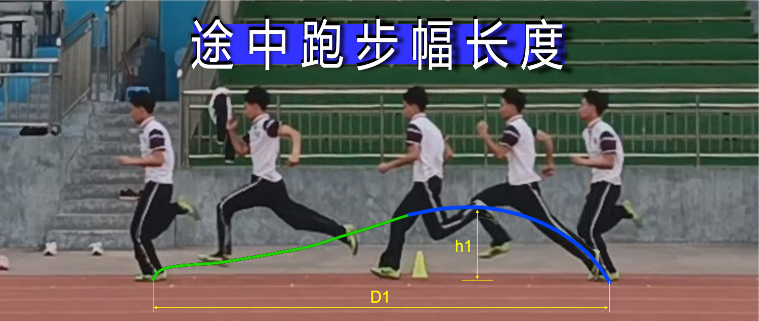 UNDERSTANDING STRIDE LENGTH IN RUNNING — Motion-Mastery S t u d i o