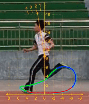 UNDERSTANDING STRIDE LENGTH IN RUNNING — Motion-Mastery S t u d i o