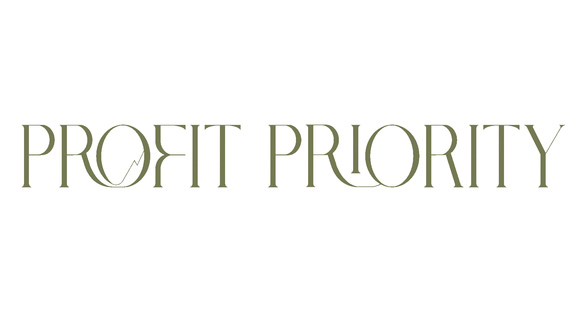 Virtual CFO Services That Turn Guesswork Into Game Plans | Profit Priority®