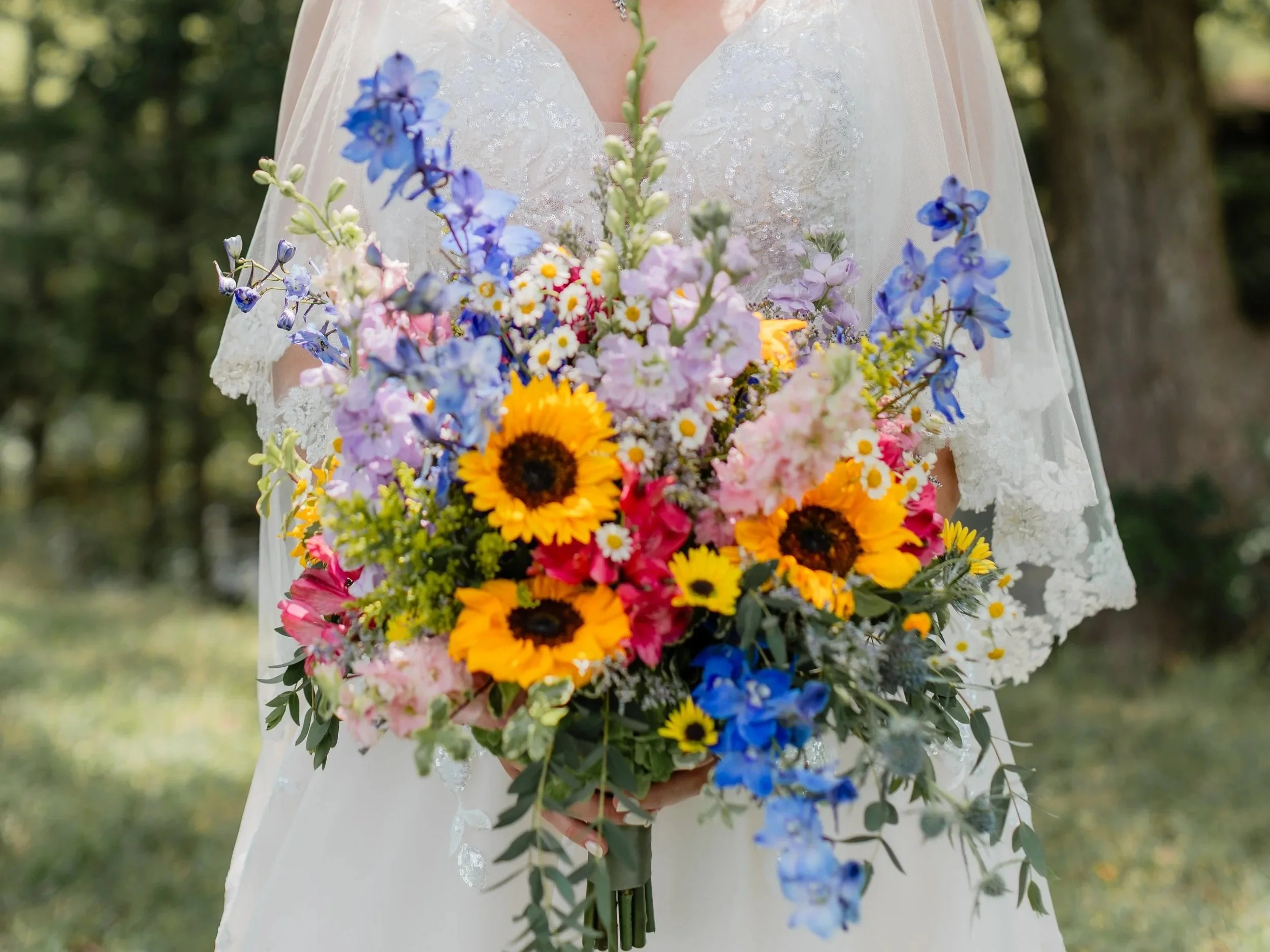Knibbe Ranch Weddings | Plan Your Perfect Wedding Today