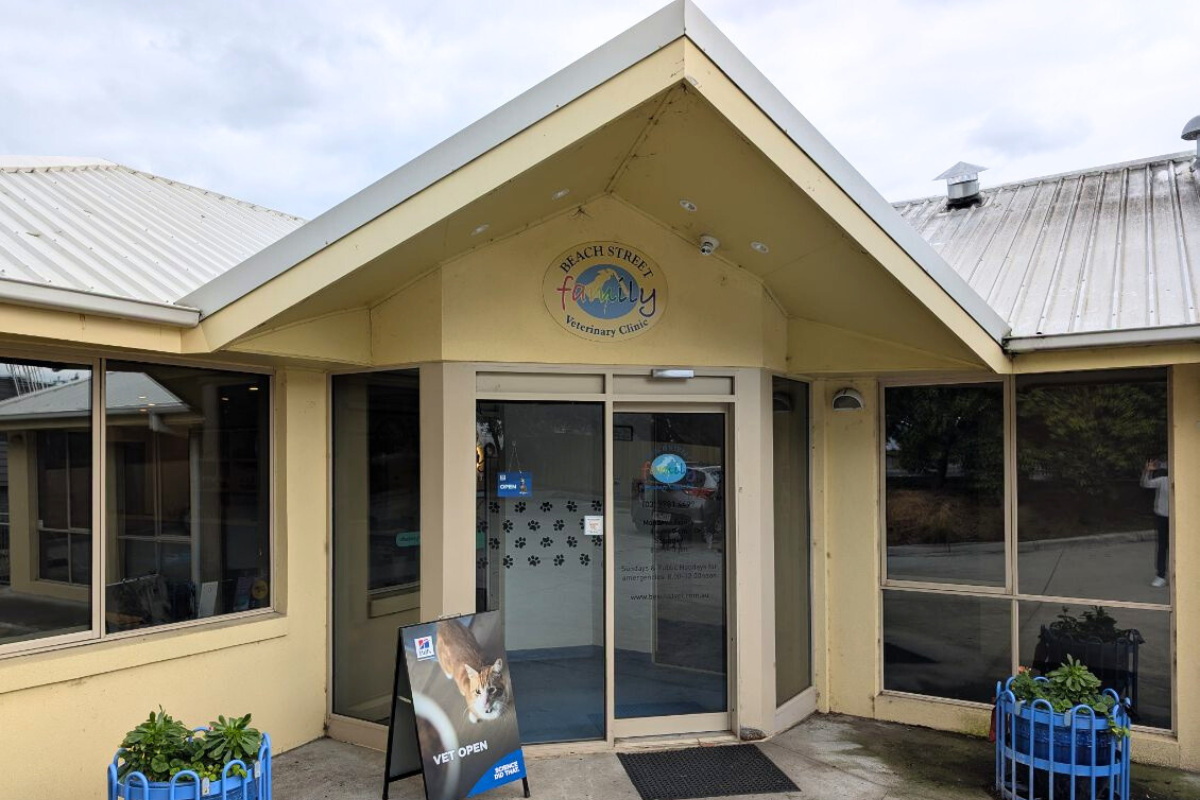 About Us | Discover Trusted Pet Care — Book Today — Beach Street Vet
