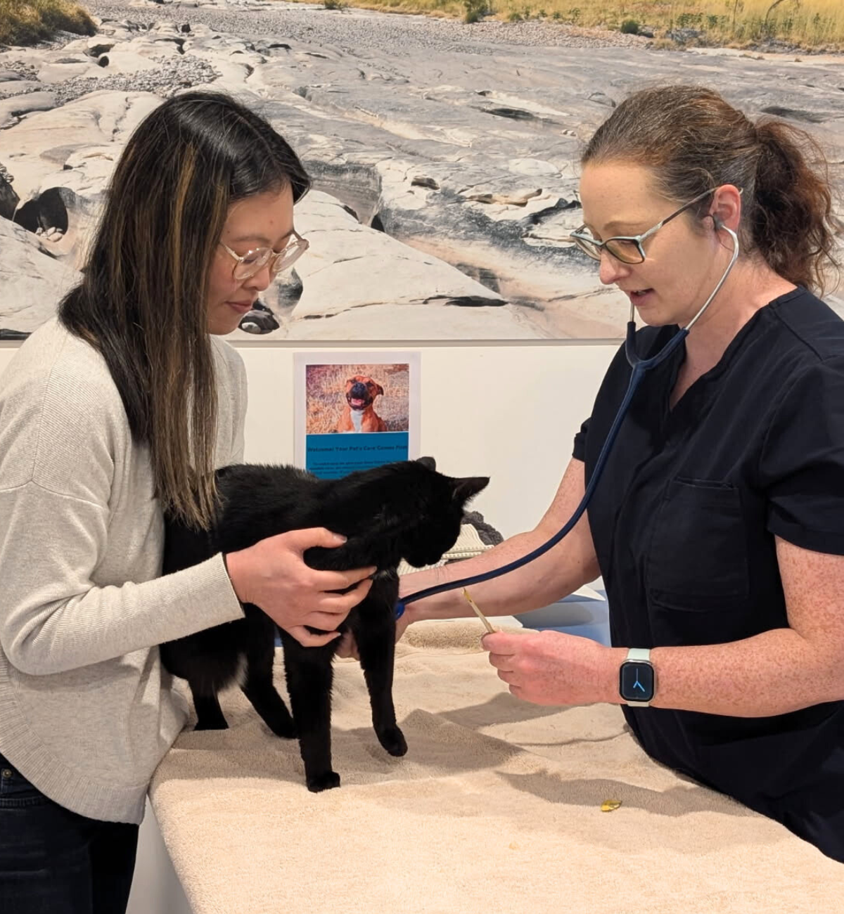 About Us | Discover Trusted Pet Care — Book Today — Beach Street Vet