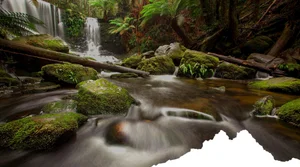 OSSA WATER | Refresh Naturally - Discover Pure Water