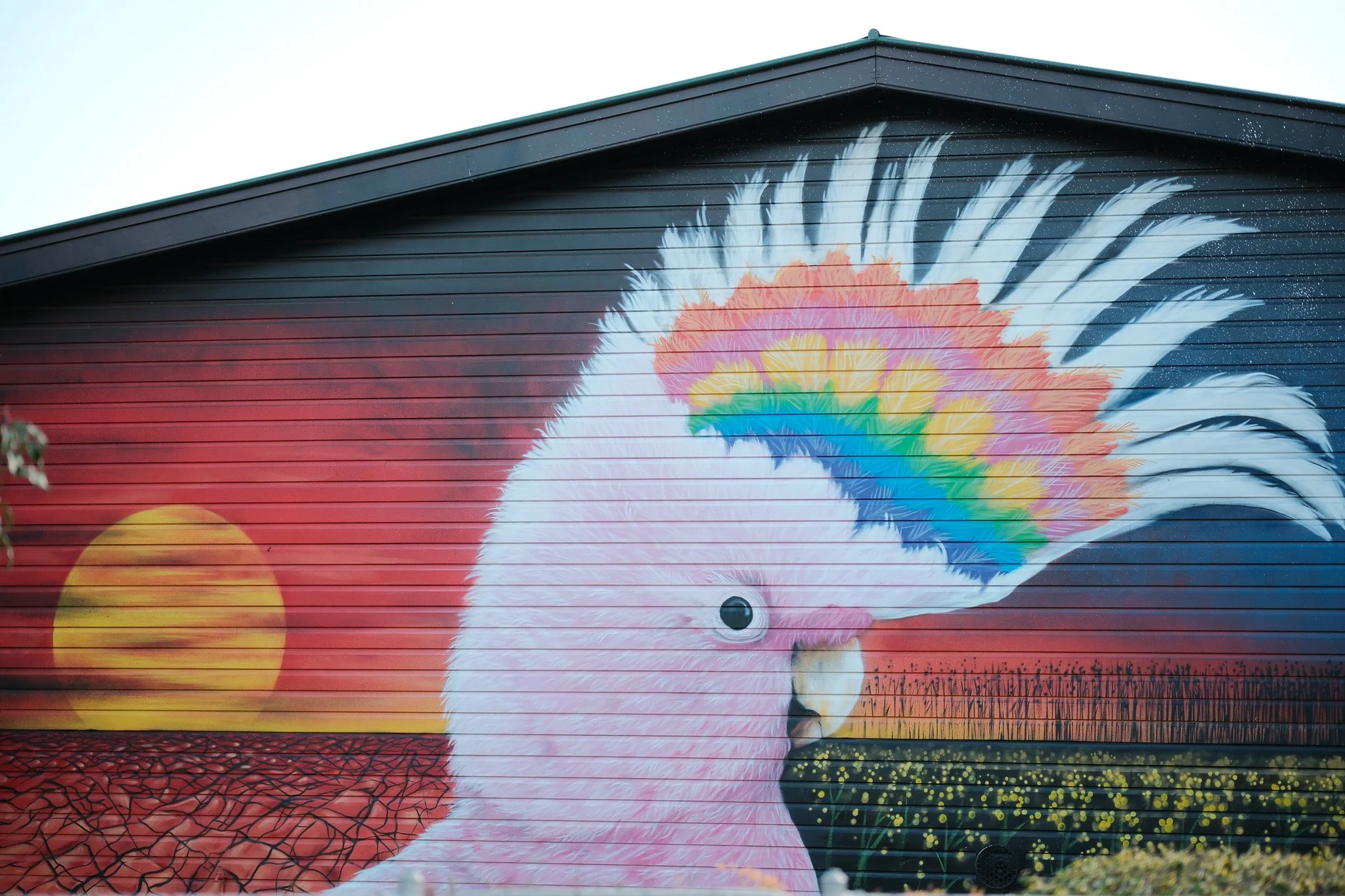 A Guide to Barellan — The Riverina