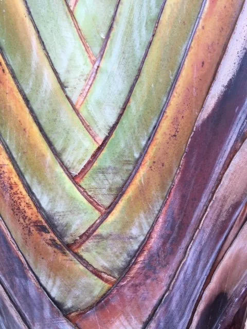 Memphis Area Visual Artists