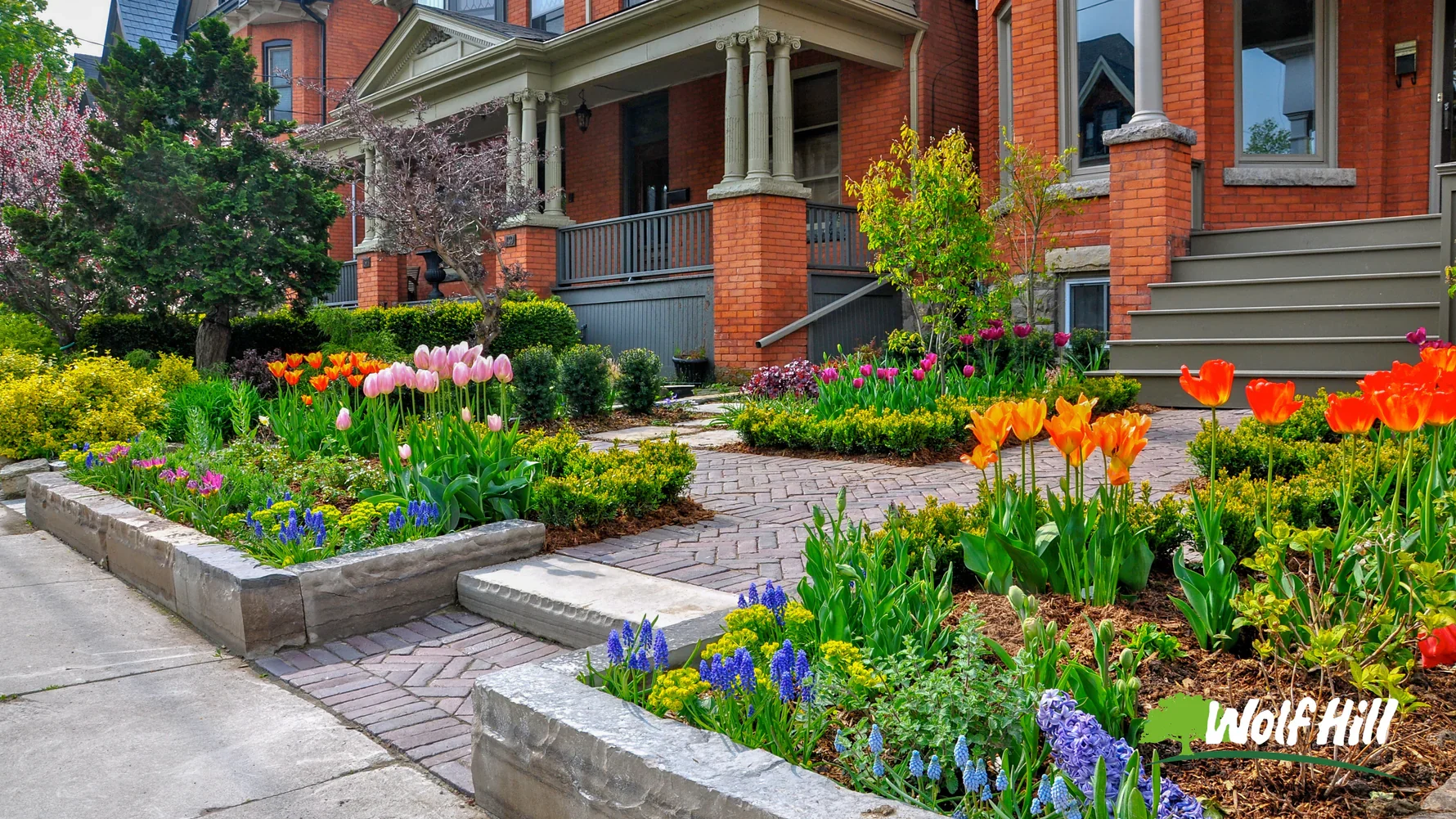 Landscaping for Curb Appeal: Ideas and Tips from Wolf Hill Garden ...