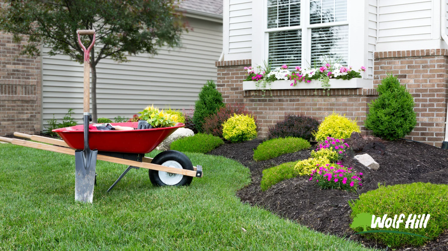 Low-Maintenance Landscaping: Choosing the Right Plants and Design for ...